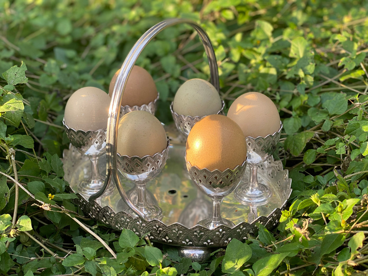 Best Rainbow Dozen – Chicken Mad