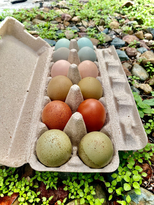 Best Rainbow Dozen – Chicken Mad