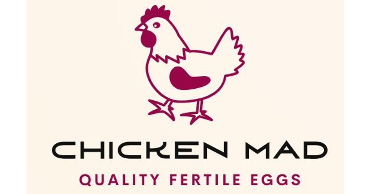 News – Chicken Mad