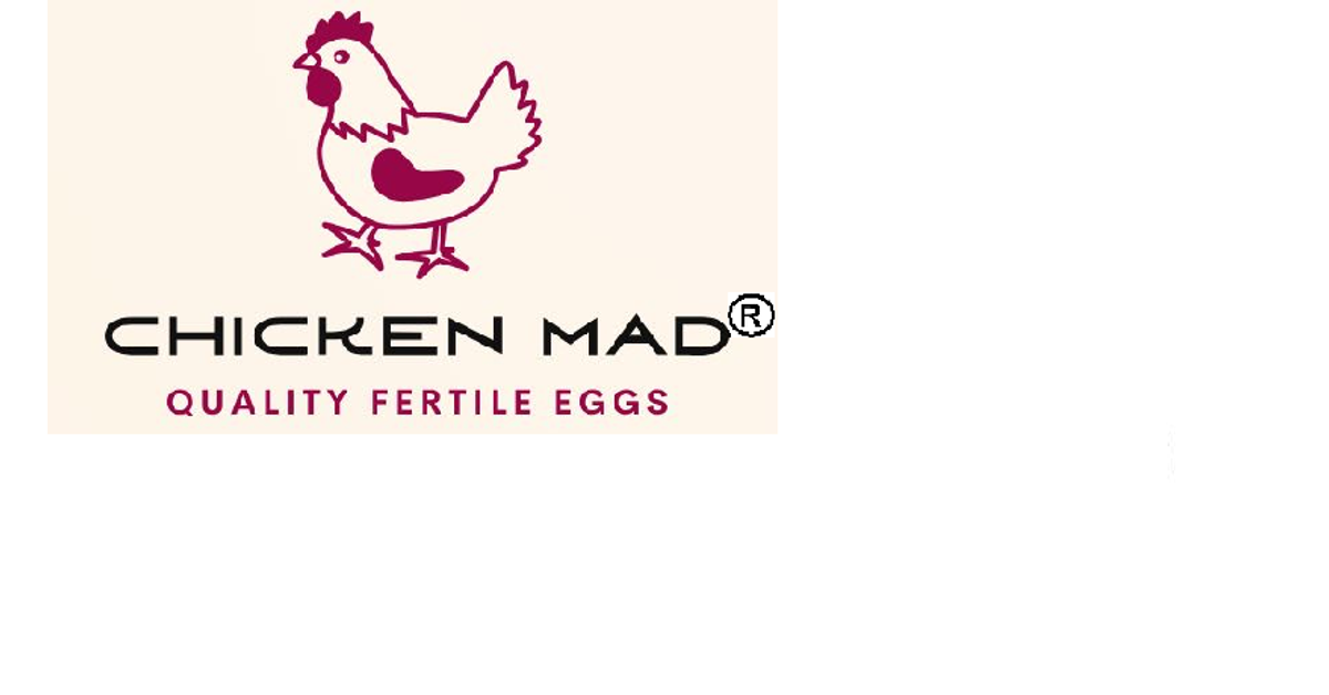 Feeders and what you need to know – Chicken Mad